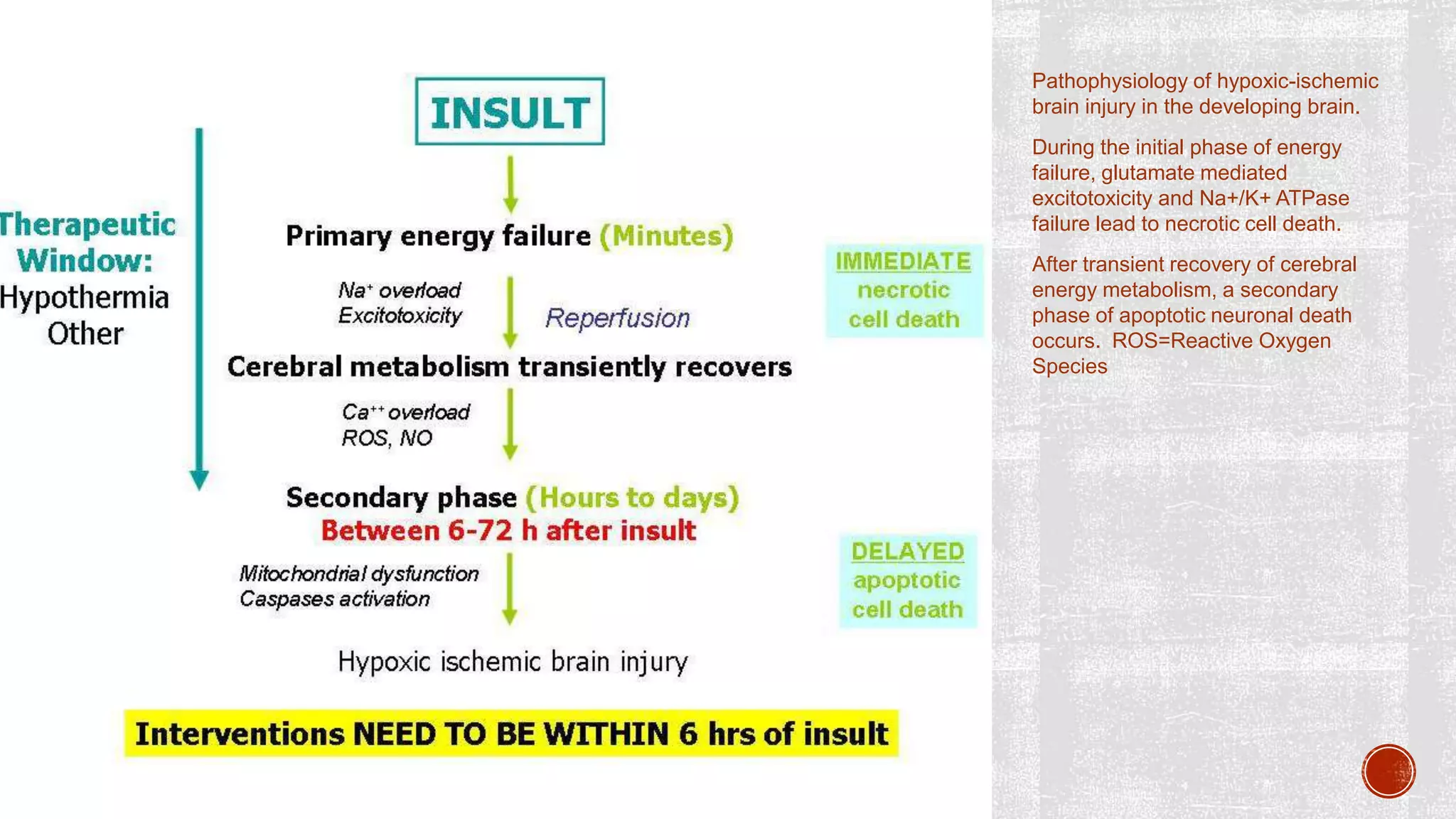 Hypoxic ischemic encephalopathy | PPTX