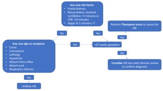Hypoxic Ischaemic Encephalopathy Algorithm.pptx