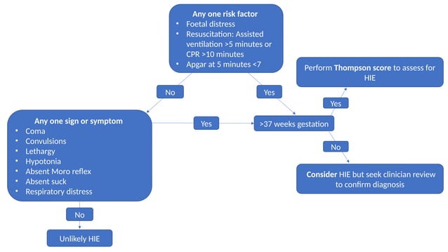 Hypoxic Ischaemic Encephalopathy Algorithm.pptx