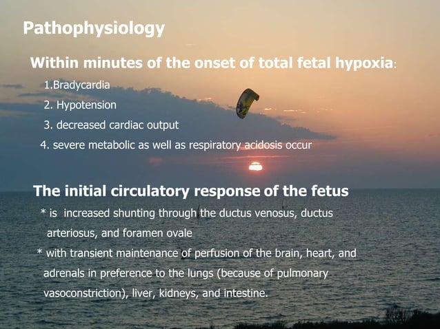 Hypoxic ischemic encephalopathy | PPT