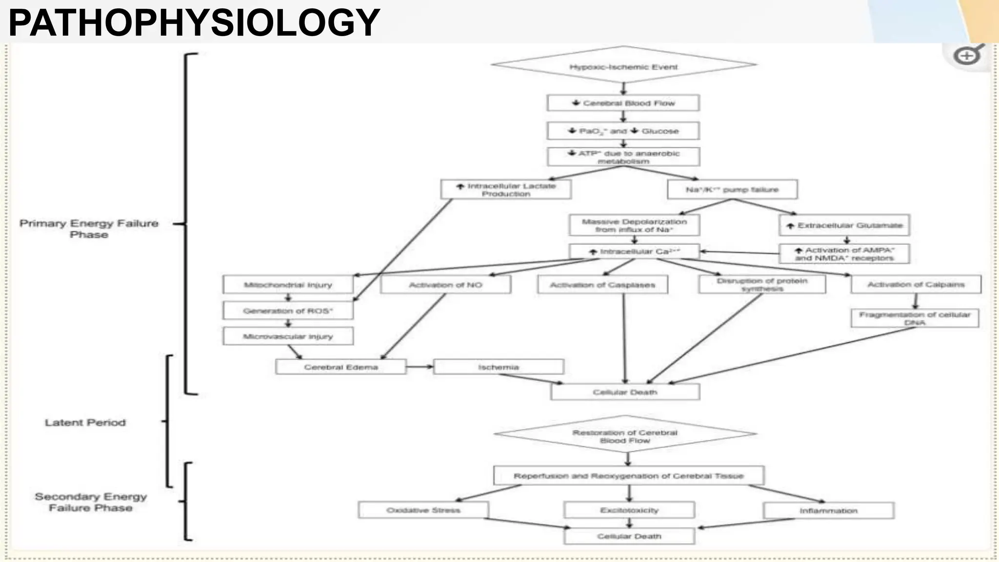 HYPOXIC ISCHEMIC ENCEPHALOPATHY/BIRTH ASPHYXIA.pptx