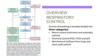 Hypoxic respiratory drive | PPTX