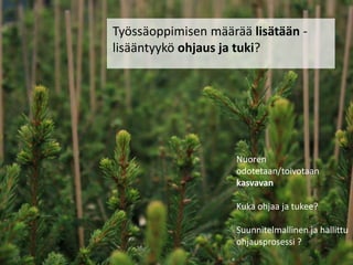 Hyria 17.11. opinto ohjaus | PPT