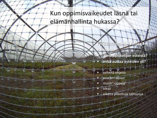 Hyria 17.11. opinto ohjaus | PPT