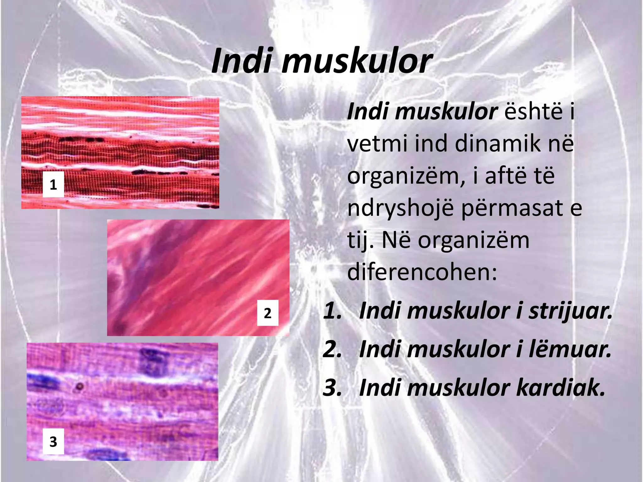 Hyrje ne anatomi | PPSX