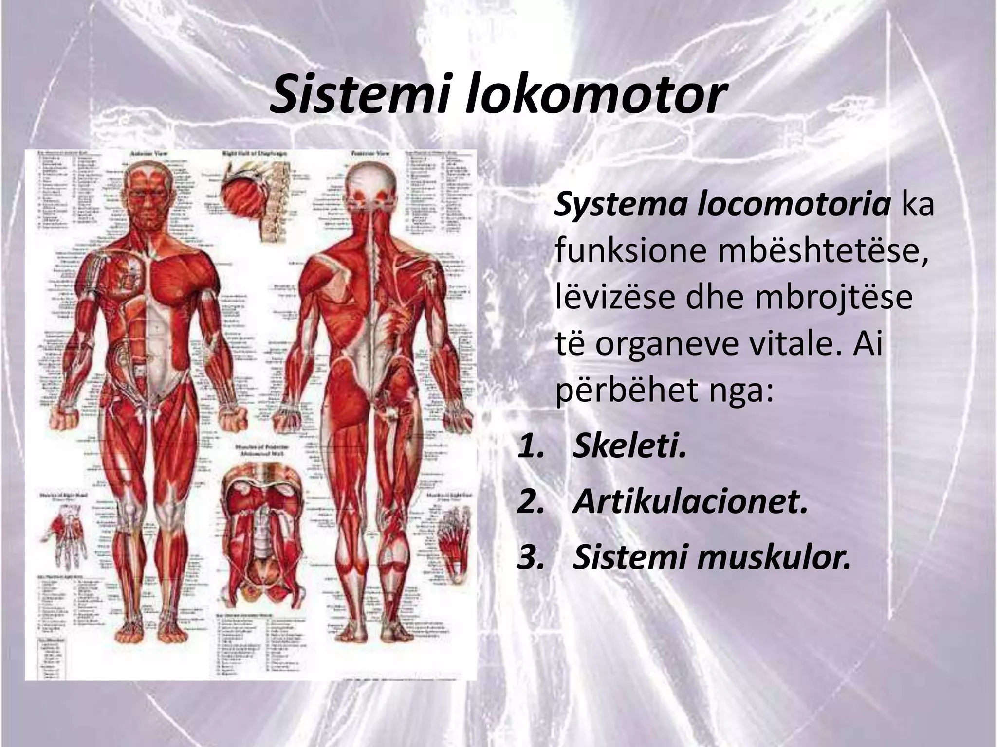 Hyrje ne anatomi | PPSX