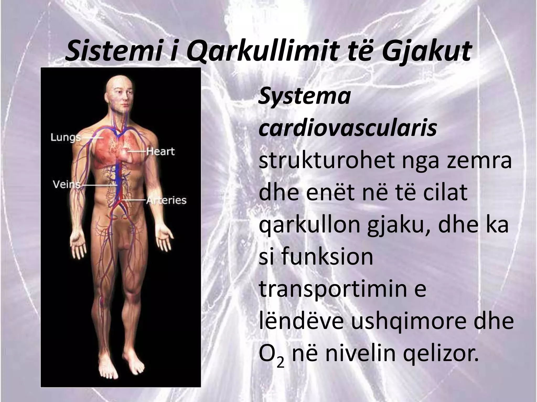Hyrje ne anatomi | PPSX