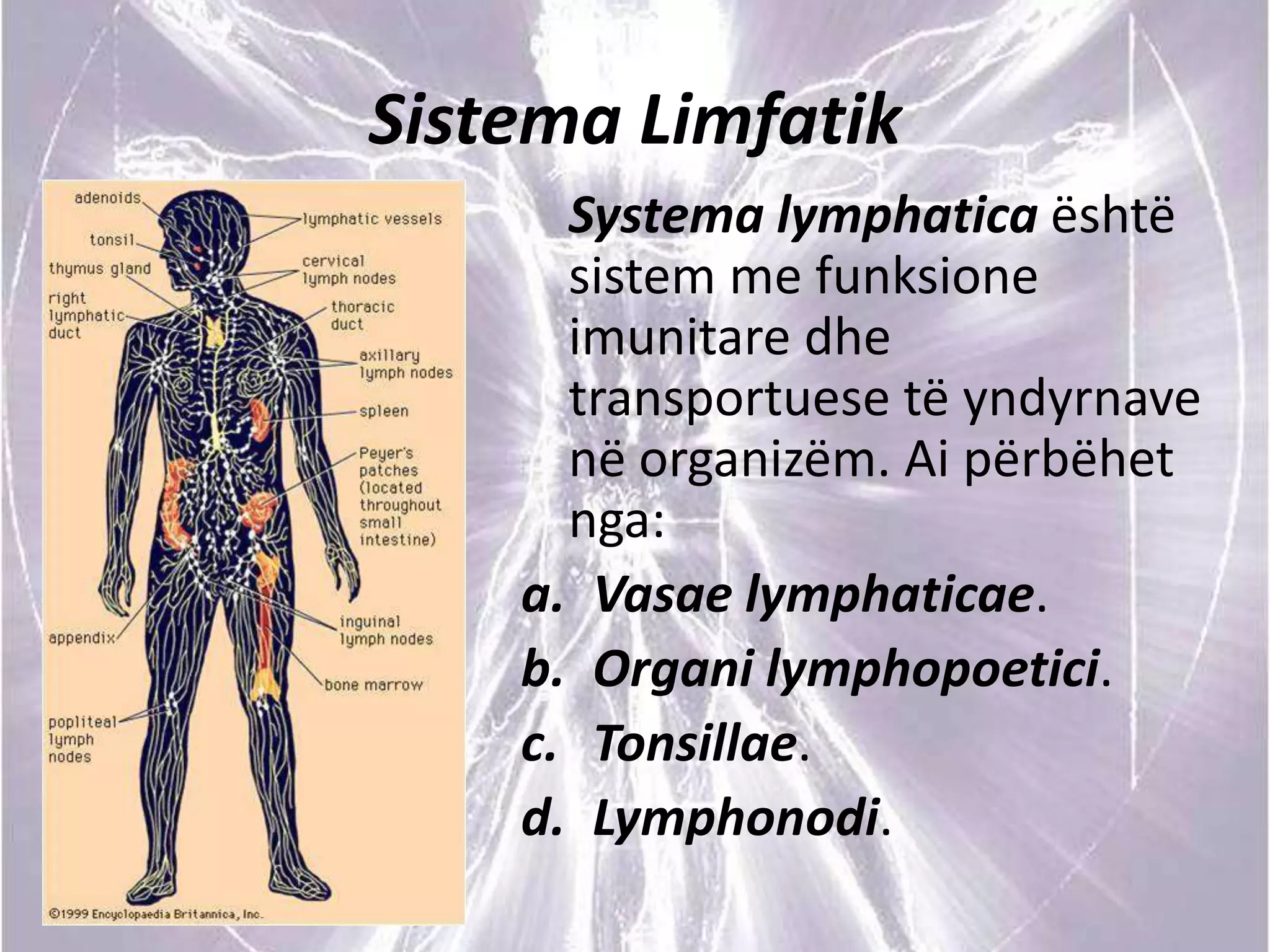 Hyrje ne anatomi | PPSX