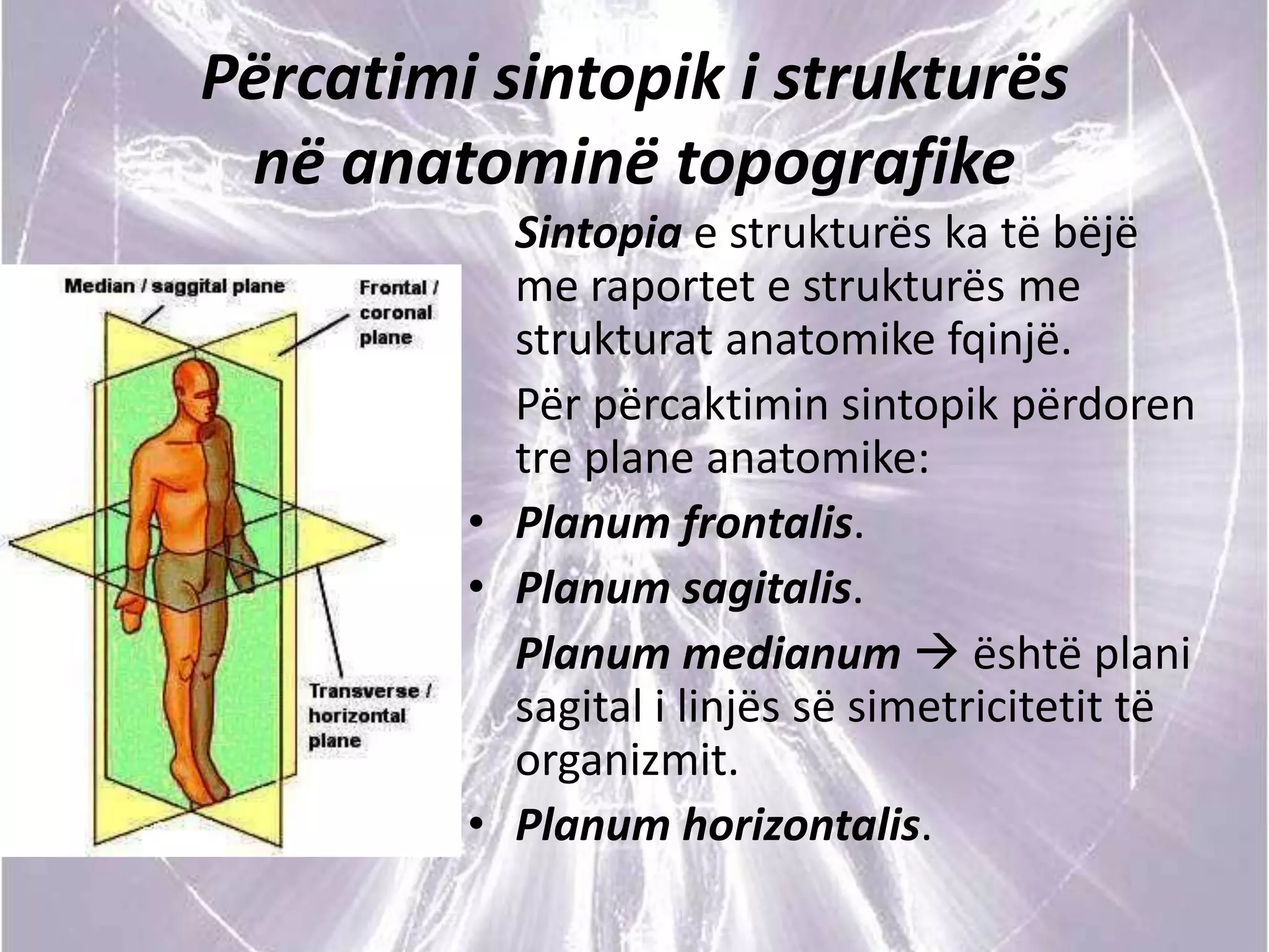 Hyrje ne anatomi | PPSX