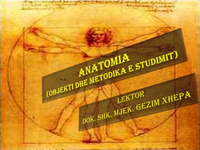 Hyrje ne anatomi | PPSX