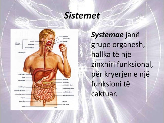 Hyrje ne anatomi | PPT