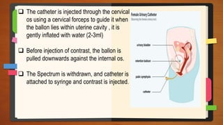 HYSTEROSALPHINGOGRAPHY - Radiology :1st Year Anatomy. | PPTX