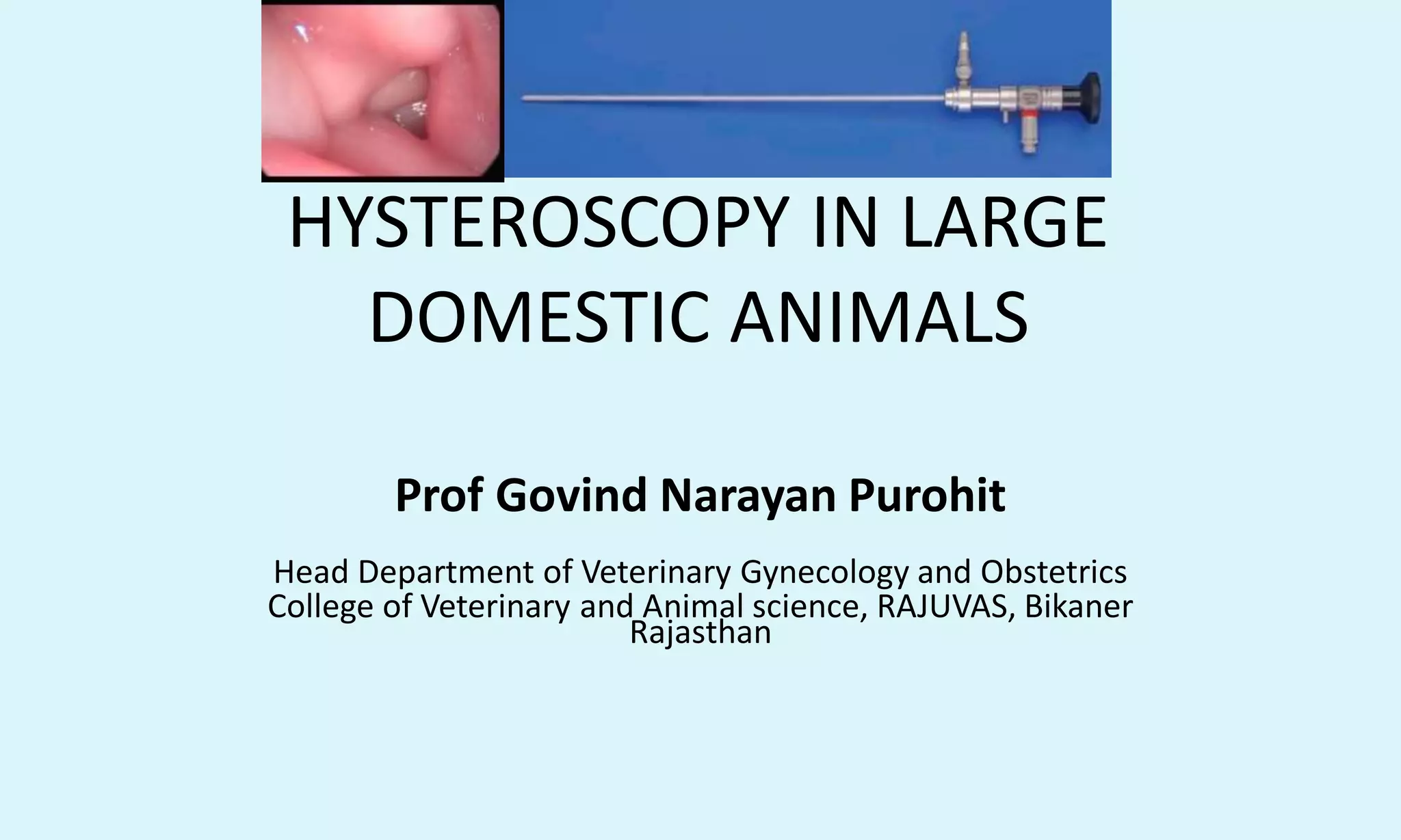 Hysteroscopy in large domestic animals | PDF