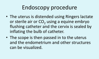 Hysteroscopy in large domestic animals | PDF