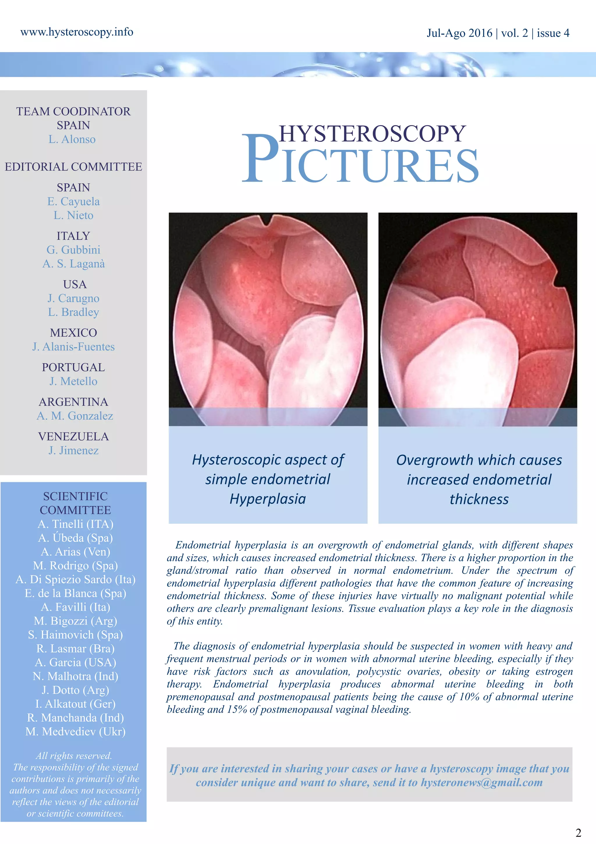 Hysteroscopy newsletter vol2 issue 4 english | PDF