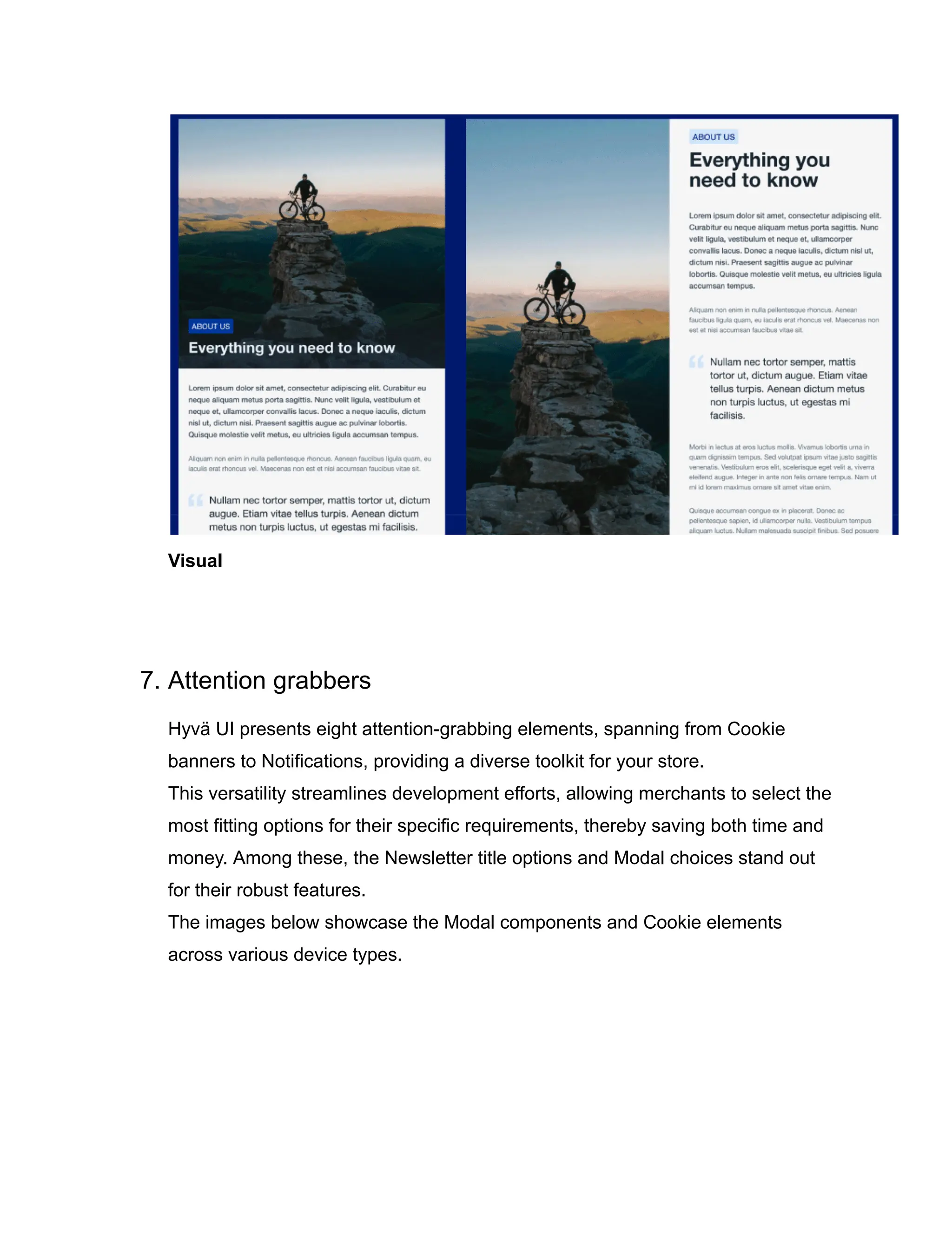 Hyvä UI Version 2.1.0 Is Out With New Features And UI Layout | PDF