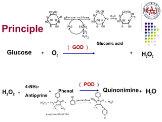 Biochemistry experiment | PPT