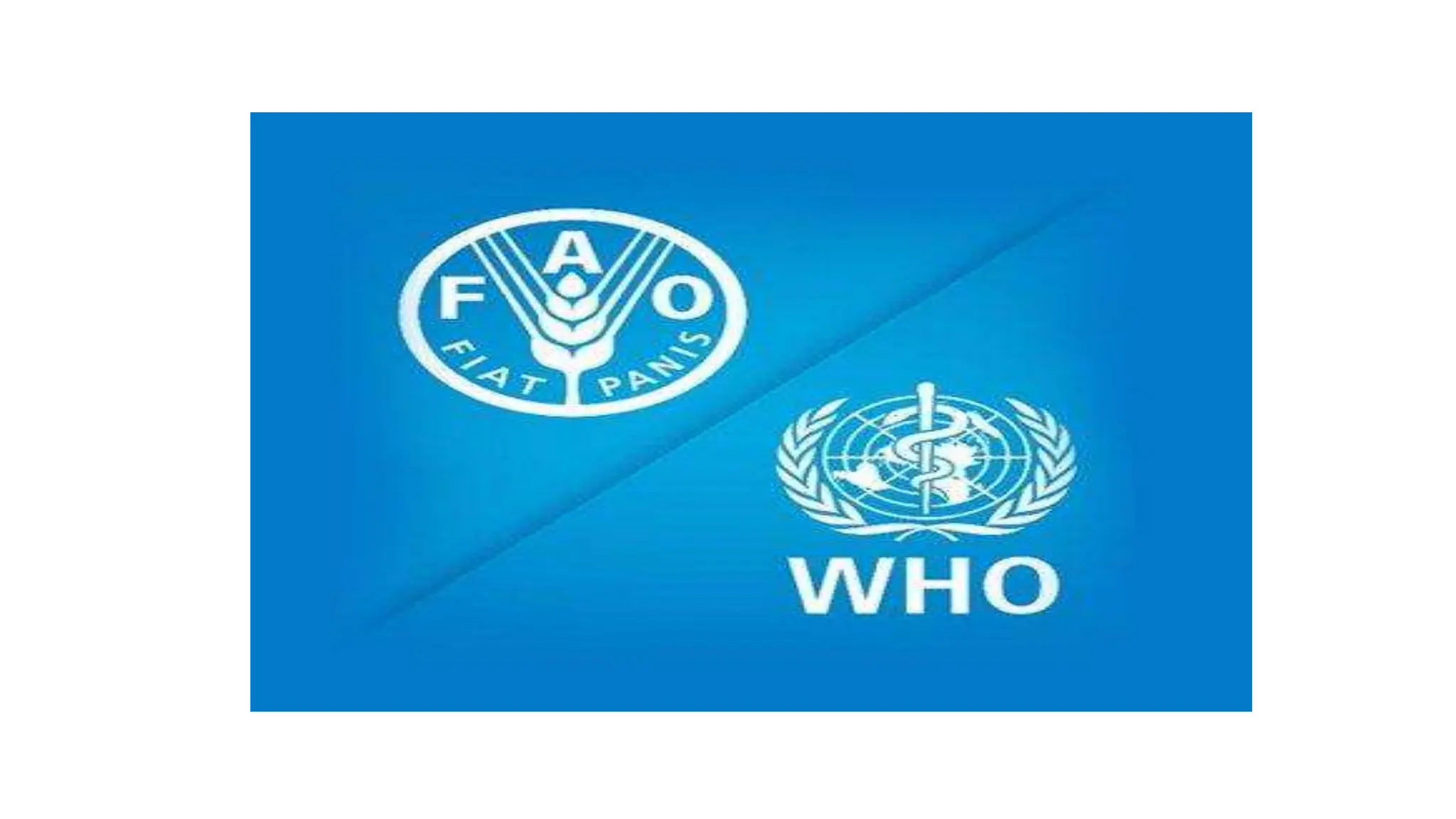 CODEX ALIMENTARIUS COMMISSION (CAC) .pptx