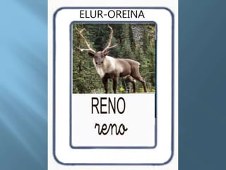 HZD IPAR POLOA | PPTX