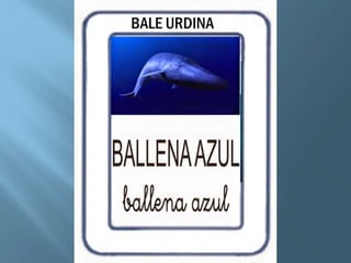 HZD IPAR POLOA | PPTX