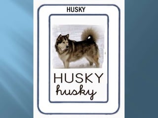 HZD IPAR POLOA | PPTX