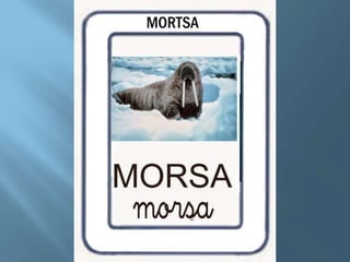 HZD IPAR POLOA | PPTX