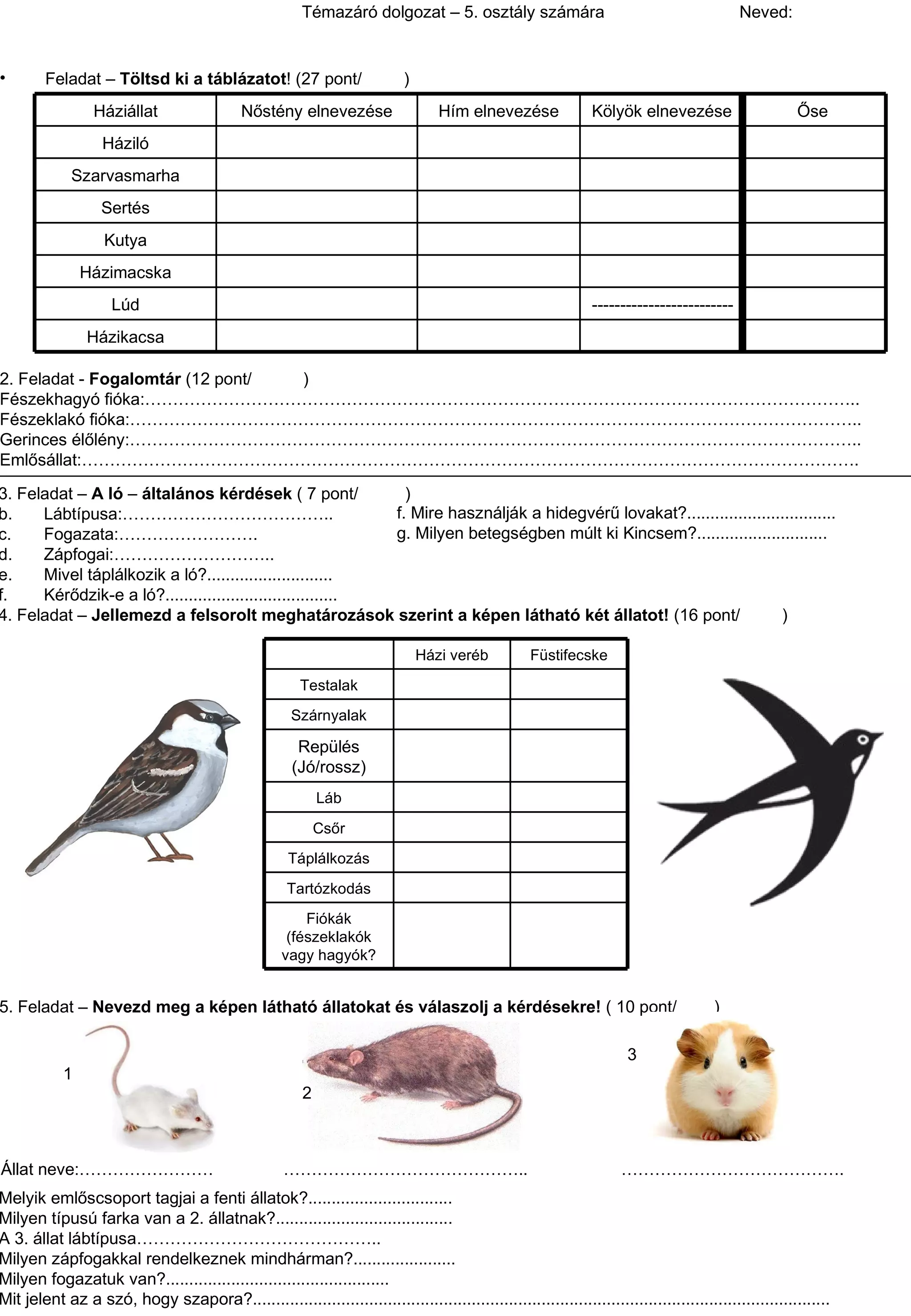 Háziállatok gyakorló dolgozat - 5. osztály számára | PPT