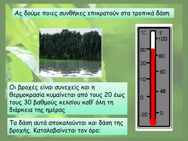 H zoh sta tropika dash | PPT