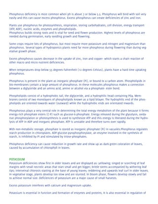 Hydroponics School Lesson Plan 3 - Nutrients | PDF