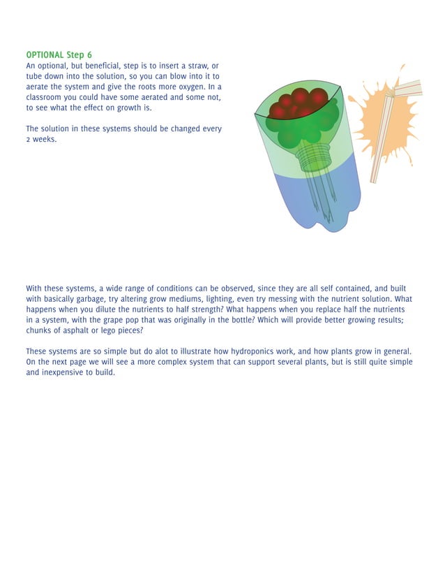 Hydroponics School Lesson Plan 6 - Build It | PDF