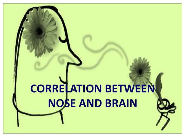 How Your Nose Connects to Your Brain and Memories | PPT