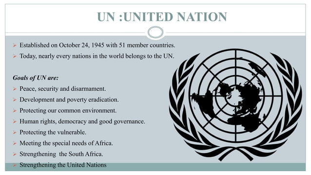 INTERNATIONAL ORGANISATION | PPTX | Business | Business and Finance