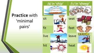 /ɪ/ ‘ship’ and /i:/ ‘sheep’ in English | PPTX