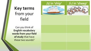 /ɪ/ ‘ship’ and /i:/ ‘sheep’ in English | PPTX