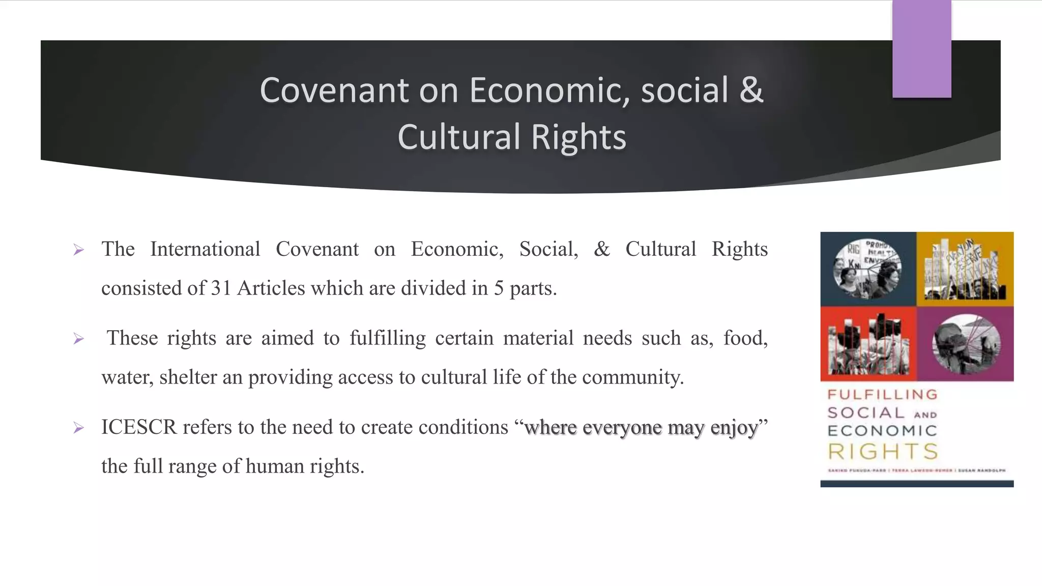 International Covenant on Economics, Social & Cultural Rights (ICESCR ...
