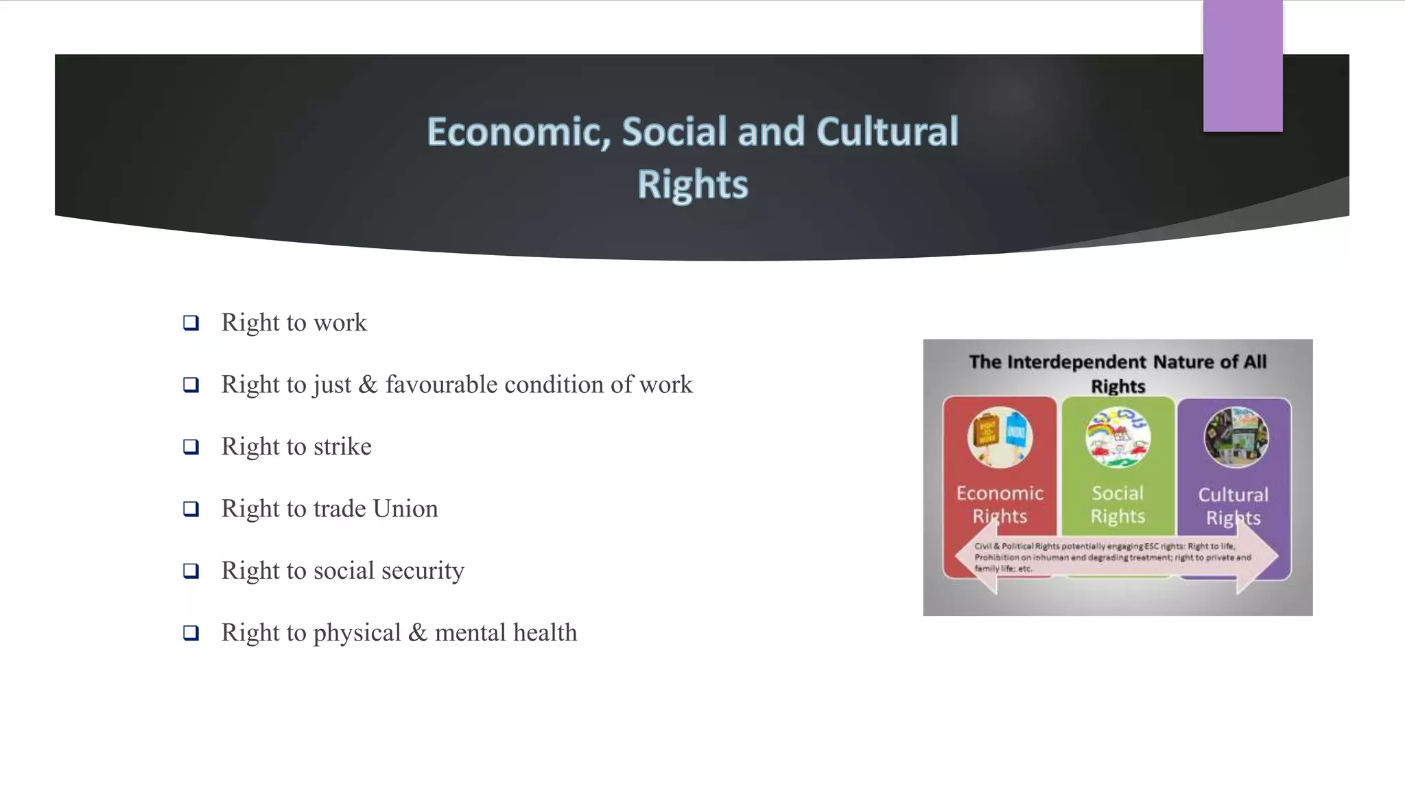 International Covenant on Economics, Social & Cultural Rights (ICESCR ...