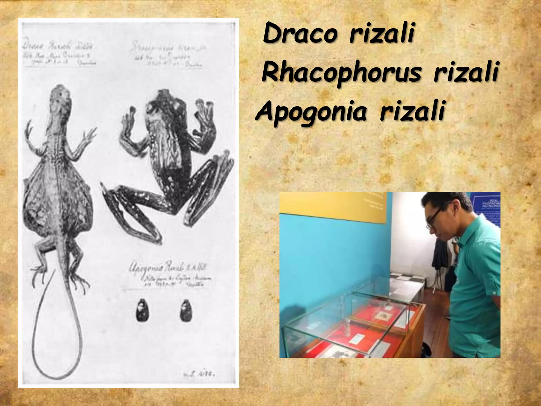 Rizal’s Exile to Dapitan | PPTX