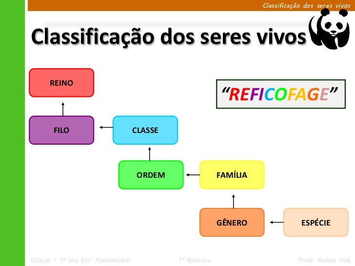 I.3 classificação seres vivos