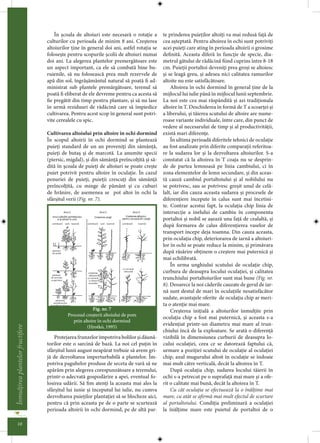 I.4 ro marcotare butasire altoire pomi fructiferi | PDF