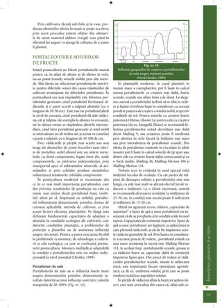 I.4 ro marcotare butasire altoire pomi fructiferi | PDF