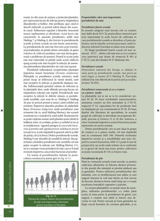 I.4 ro marcotare butasire altoire pomi fructiferi | PDF