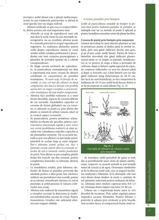 I.4 ro marcotare butasire altoire pomi fructiferi | PDF