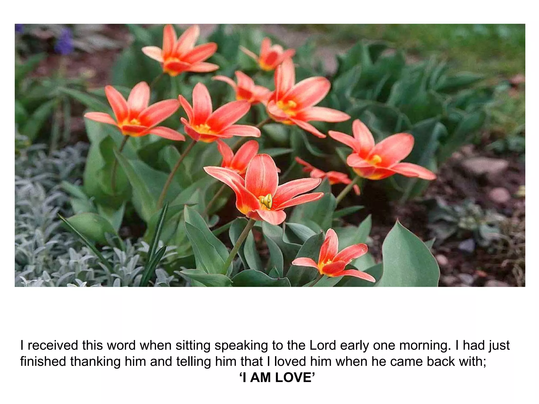 I Am Love | PPT