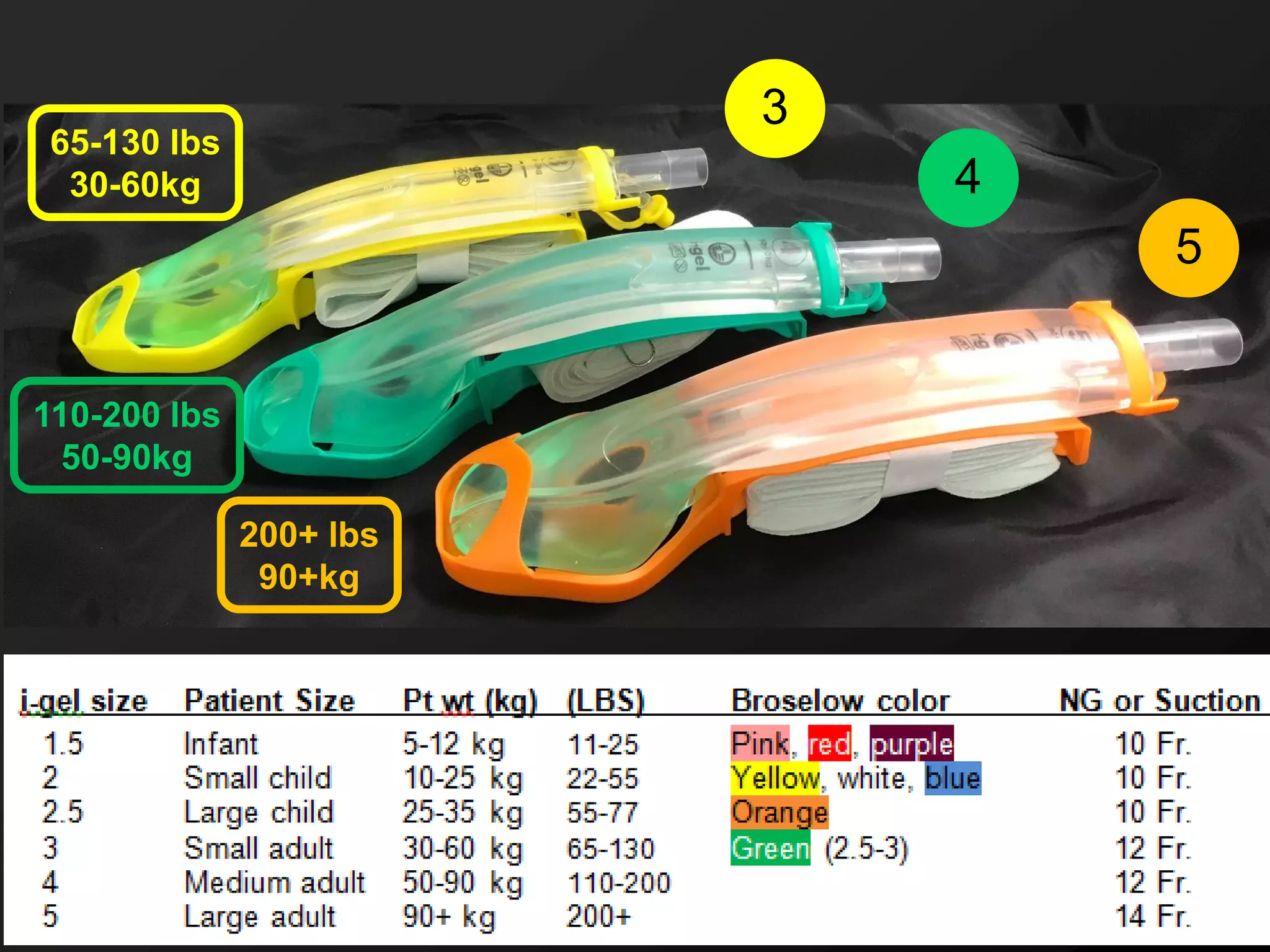 I Gel Training | PDF