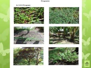 sample green template | PPT