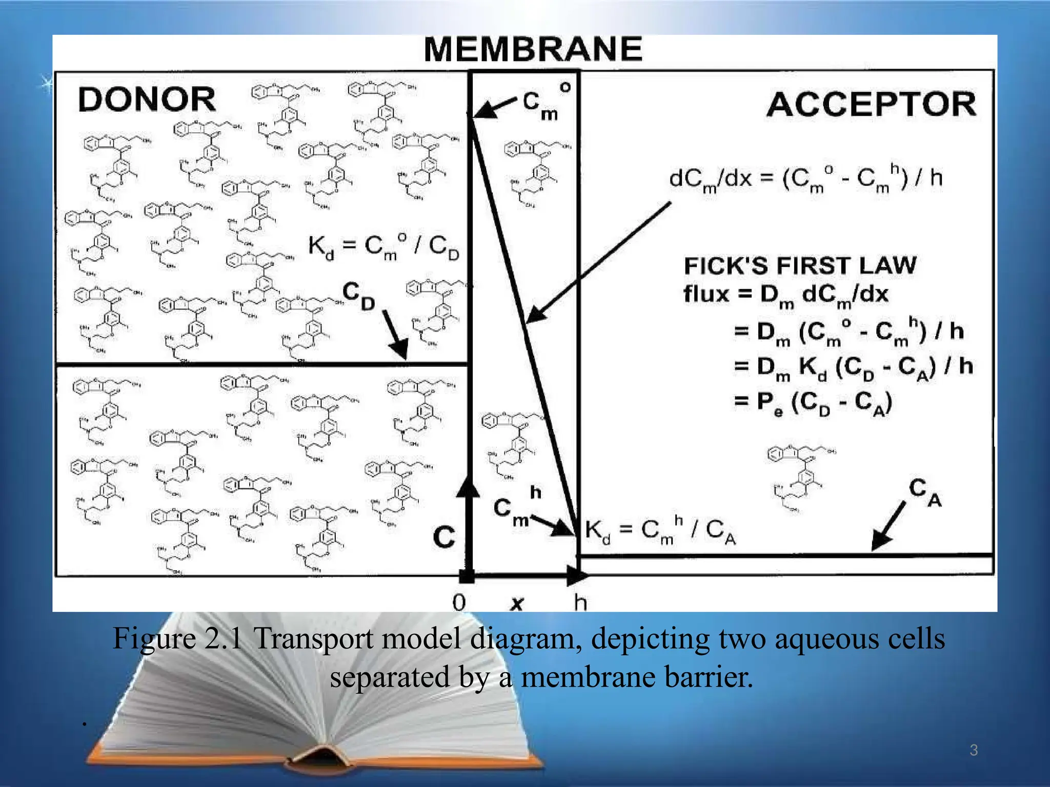 Transport model- Permeability solubility | PPTX