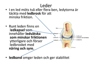I -muskler-leder--rorelse---editerad-av-daniel-v02 | PPT