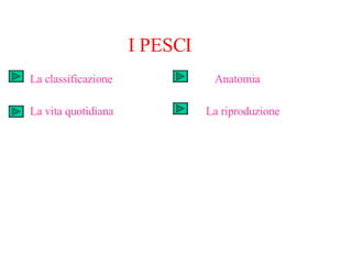 I Pesci | PPT