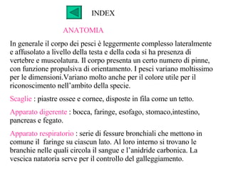 I Pesci | PPT