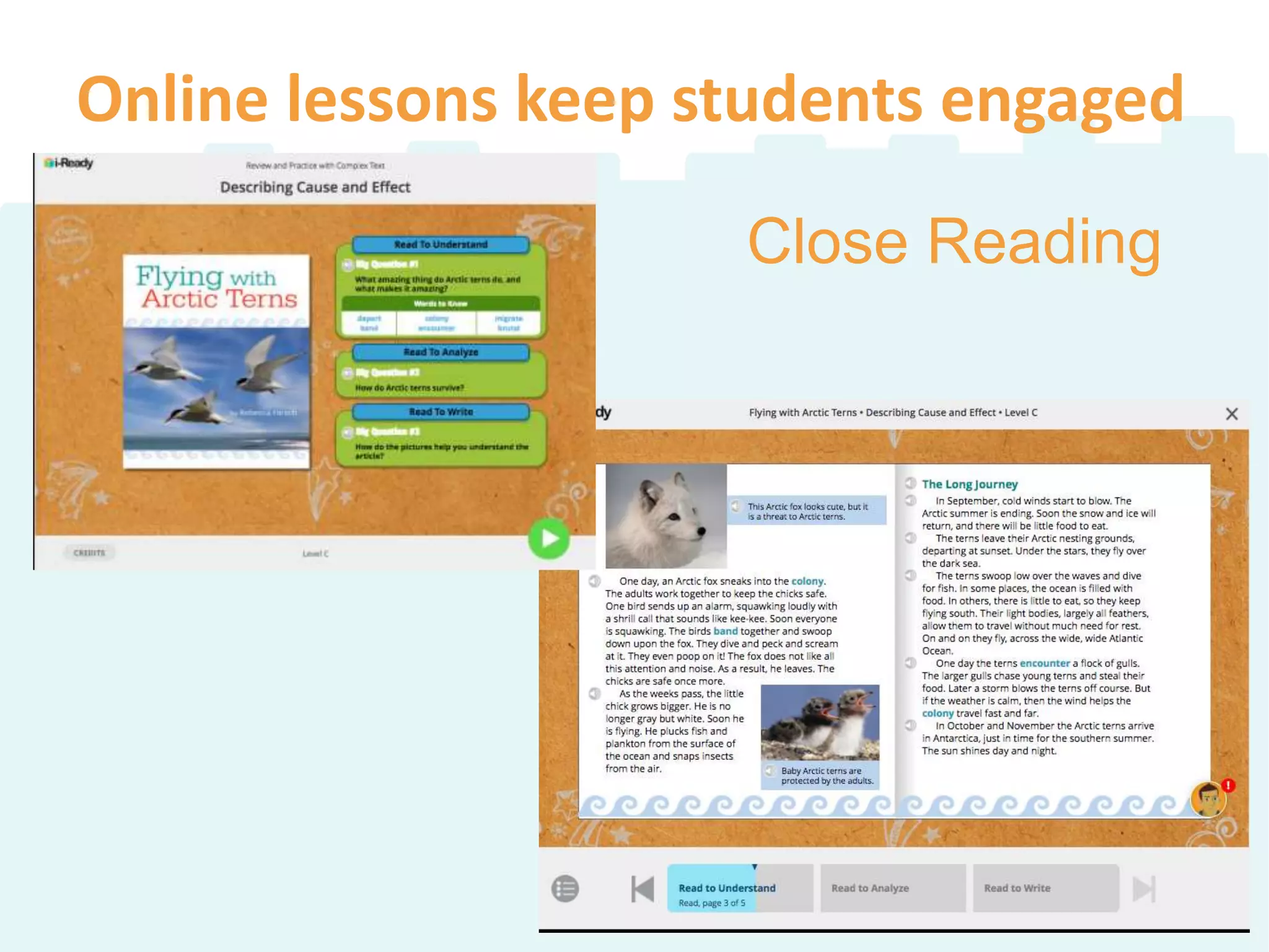 iReady Overview | PPTX